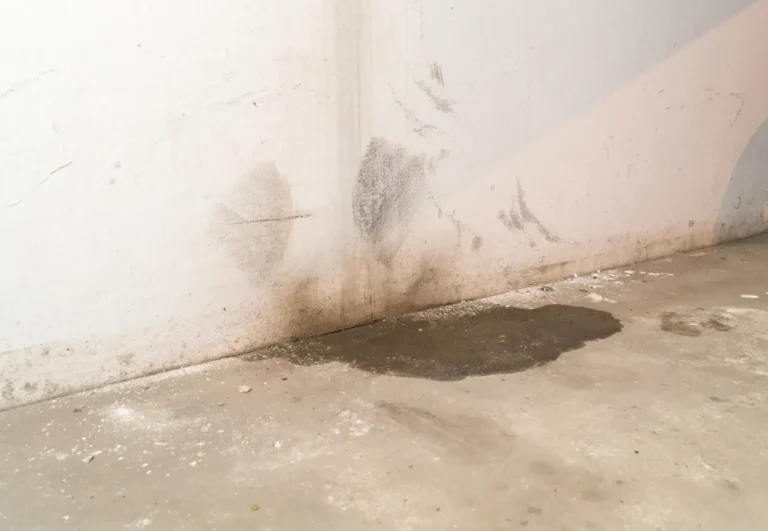 Basement Sealing Waterproofing Drainage - Cardinal Strategies